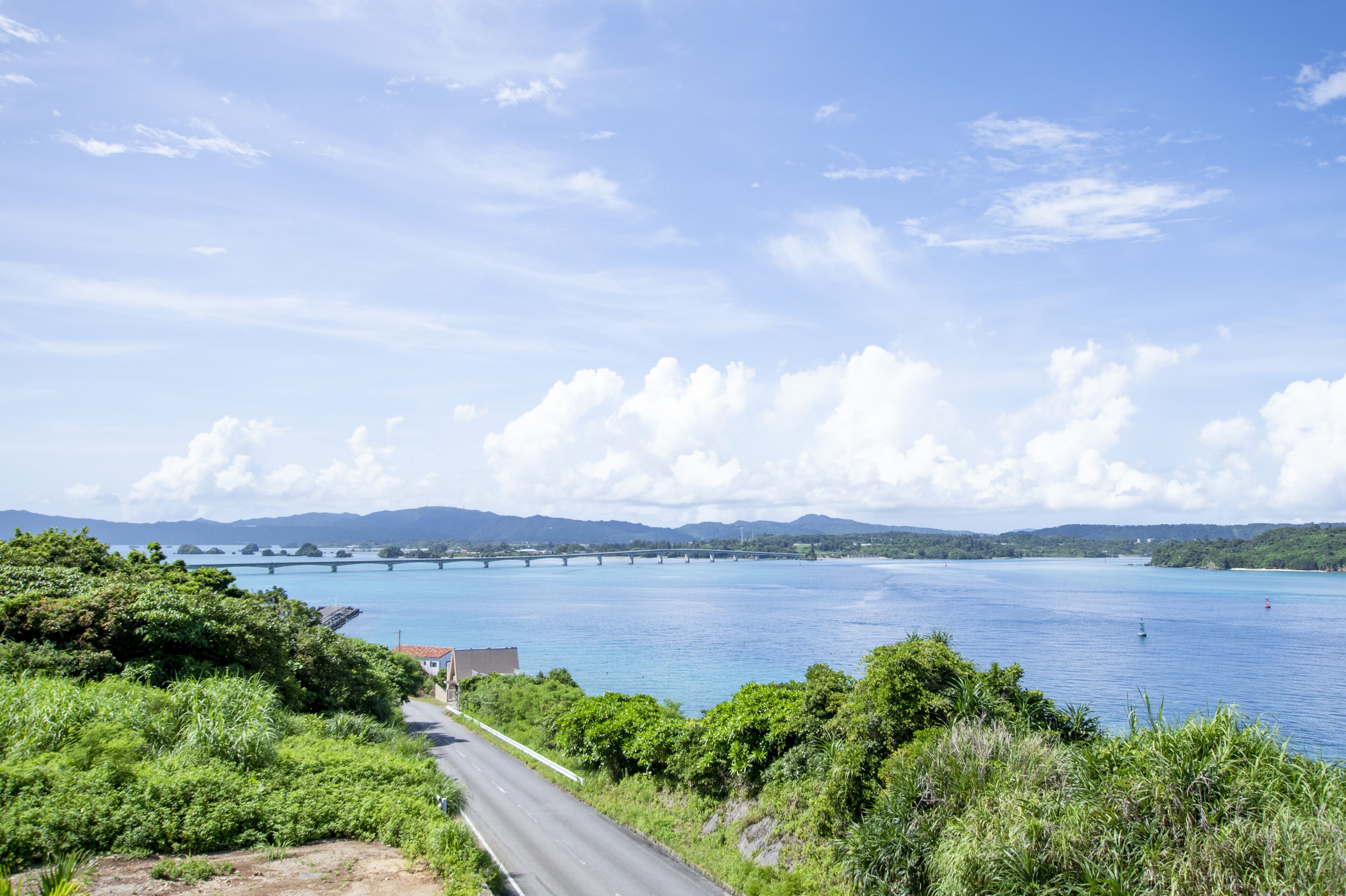 Uma estrada costeira com uma ponte ao longe, rodeada por vegetação exuberante e um céu azul límpido.