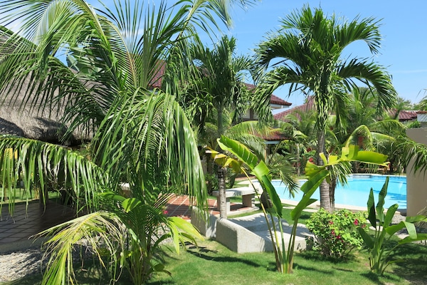 Jardim