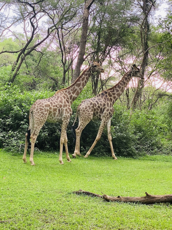 Sakae Paradise Resort -