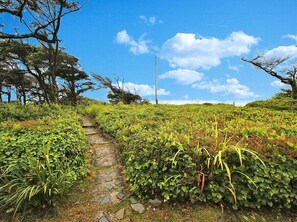 Rustlewood - Private Beach Access! Reviews, Deals & Photos 2026 ...