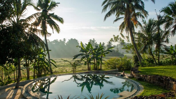 Uma piscina circular rodeada por palmeiras e vegetação, com um caminho de pedra a dar para ela.