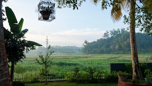 Um jardim com deck de madeira, vegetação exuberante e uma vista distante de um campo e linhas de energia.