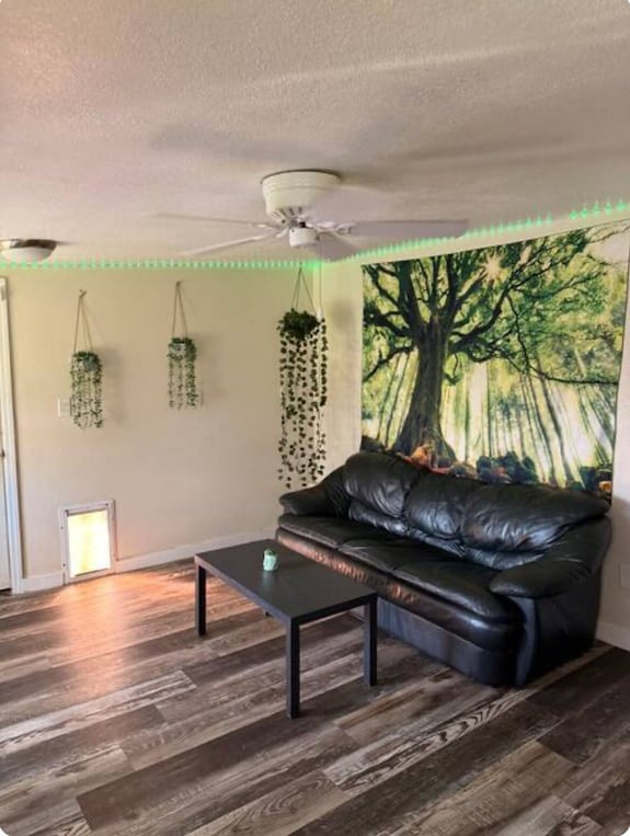 Pet Friendly, Big Backyard For Kids Or Pets, 20 Minutes To Playalinda Beach! - Titusville, FL