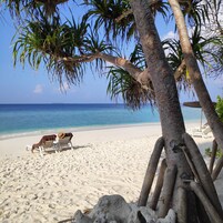 Na praia, areia branca, espreguiçadeiras, guarda-sóis 
