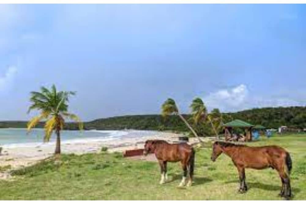 Very Nice Comple Apartment # (1) 3 Minutes From Ferry - Vieques