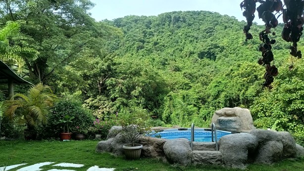 Um jardim com piscina, rodeado por pedras e vegetação.