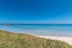 Uma praia com águas azul-claras, areal arenoso e vegetação verde.