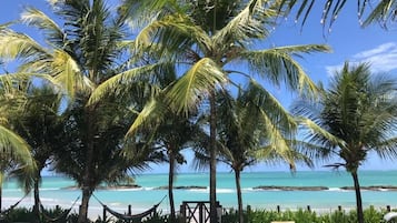 Área da piscina com palmeiras e vista para o oceano.