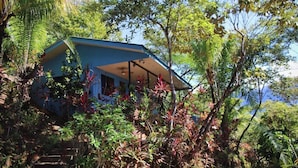 Uma casa azul cercada por vegetação tropical exuberante.