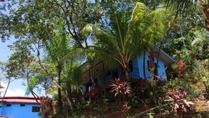 Um edifício azul cercado por vegetação exuberante, incluindo palmeiras e diversas plantas.