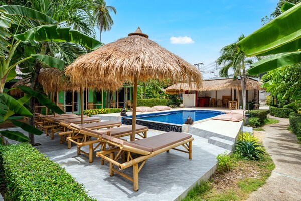 أفوكادو - Ko Samui, Island
