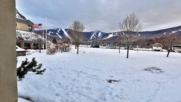 Condo, 2 quartos | Área da propriedade