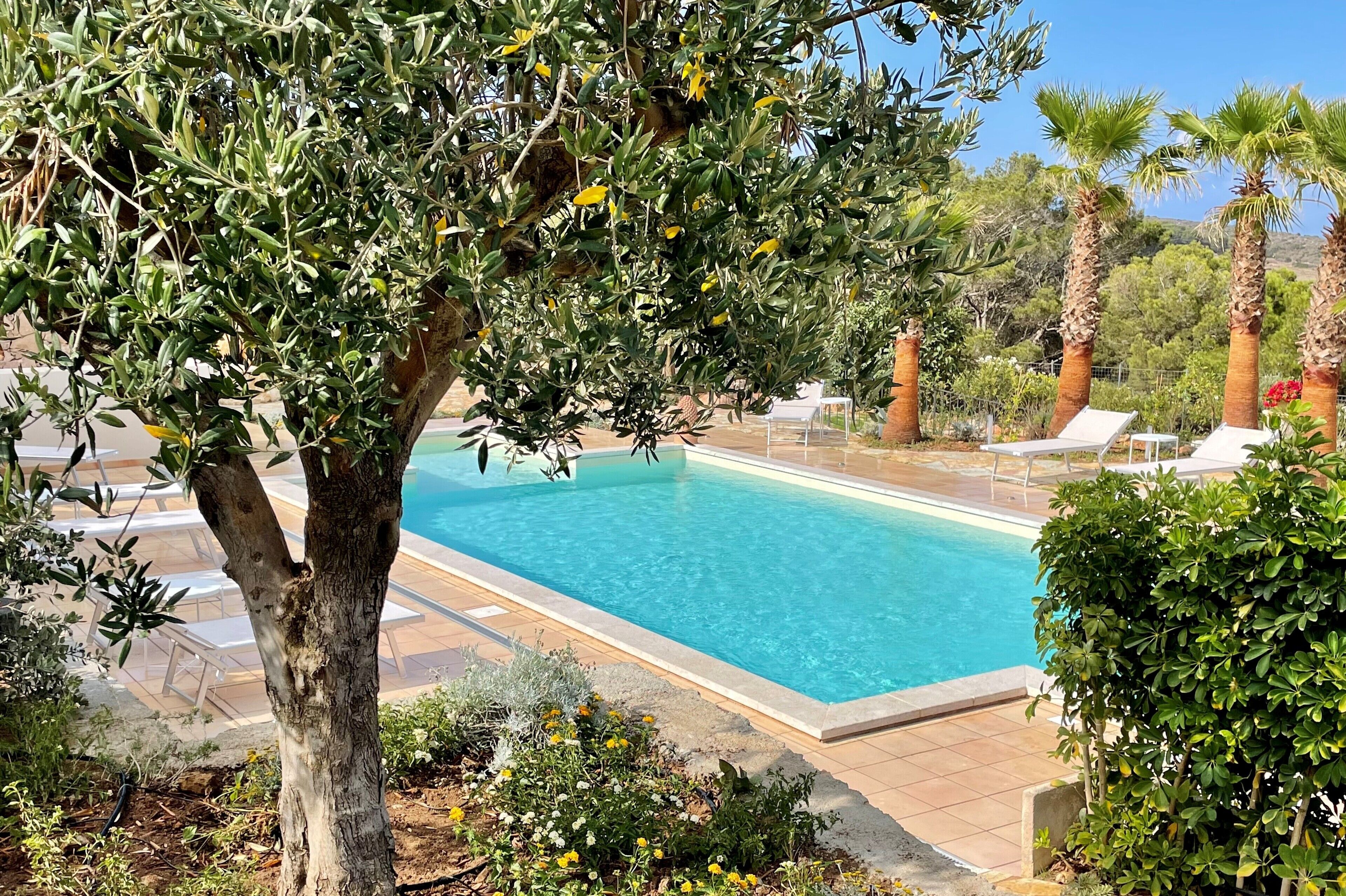 Piscina com espreguiçadeiras, cercada por oliveiras e palmeiras.