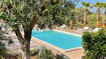 Piscina com espreguiçadeiras, cercada por oliveiras e palmeiras.