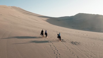 Passeios a cavalo