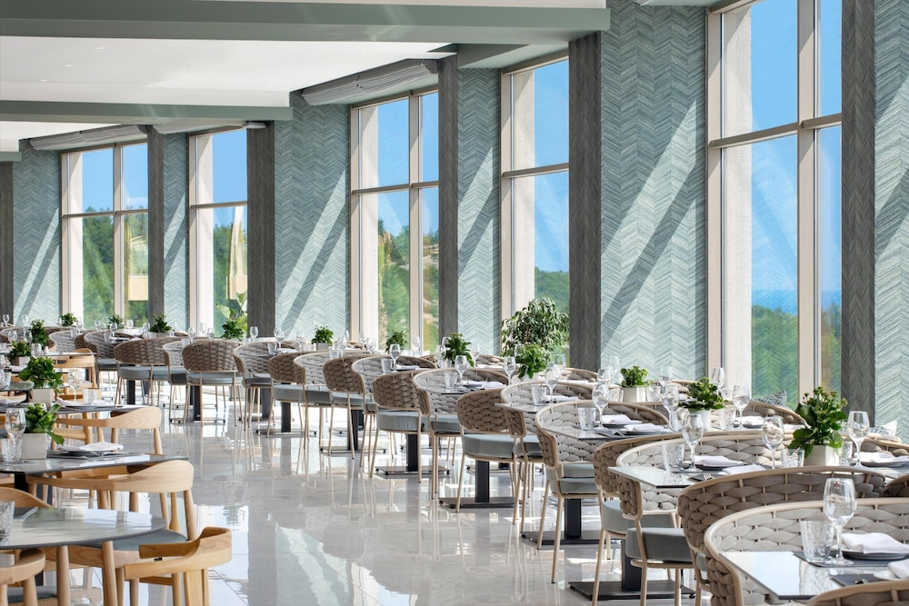 Zeus Eleva Ajul - Halkidiki