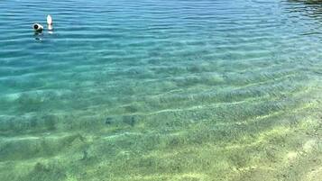 Apartamento, 1 quarto, acessível, fumadores | Praia