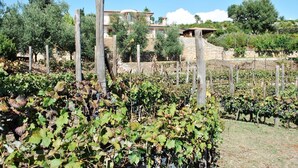 Vila, 3 quartos, varanda, vista para a montanha | Fachada