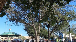 Um parque com um coreto, bancos e uma área de mercado.
