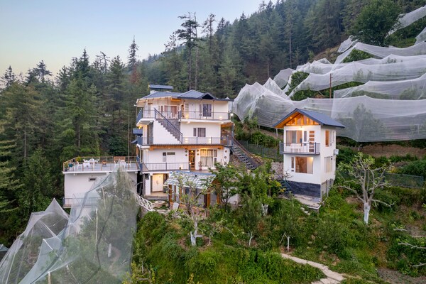 Jomotel Dayaar - Theog