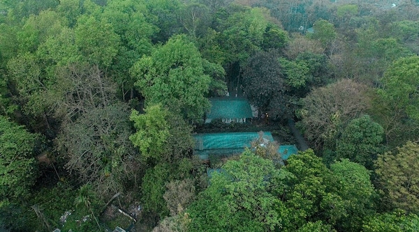 Wild Mahseer - Assam