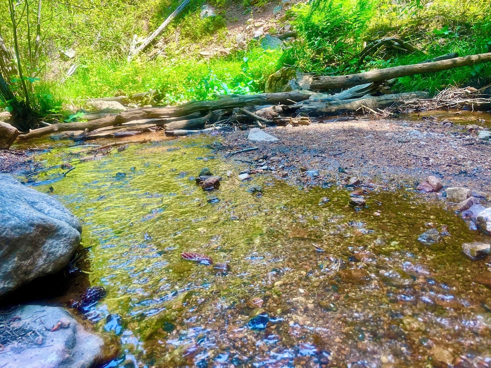 Salt Water Hot Tub At Rabbit Hole A Frame In The Woods - Evergreen, CO