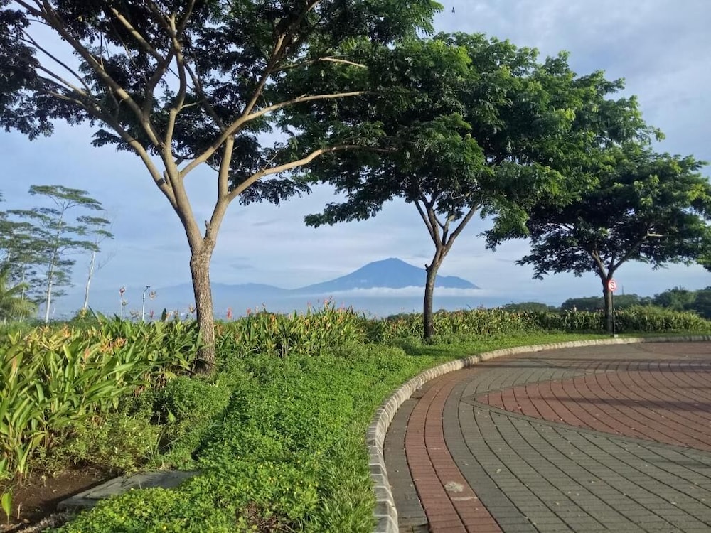 The Valley Guesthouse - Malang