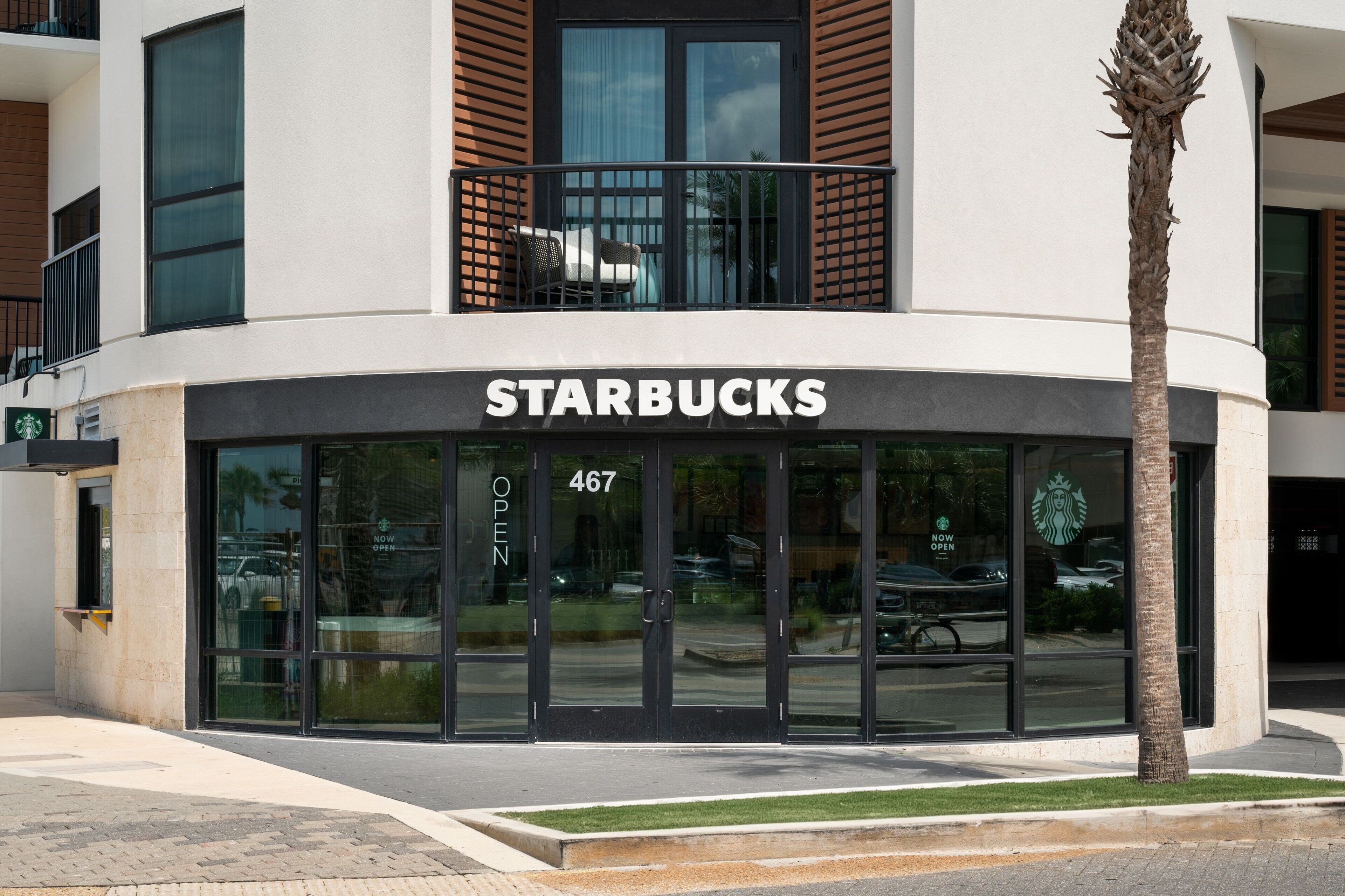 Uma loja Starbucks com fachada de vidro, uma varanda com cadeiras e uma palmeira na frente.
