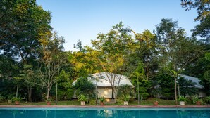 Piscina rodeada por vegetação exuberante e árvores, com um edifício branco ao fundo.