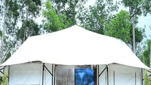 Uma estrutura tipo tenda com uma cama no interior, rodeada por vegetação.