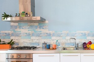 Cozinha com fogão a gás, exaustor de aço inoxidável e pia. Há diversos utensílios de cozinha e um vaso de planta no balcão.