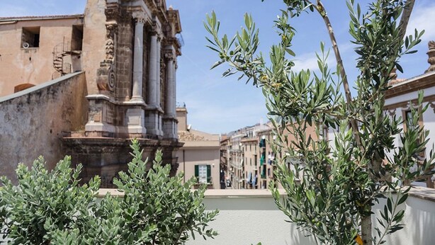 Um edifício histórico com colunas e escadaria, rodeado por oliveiras e outros edifícios.