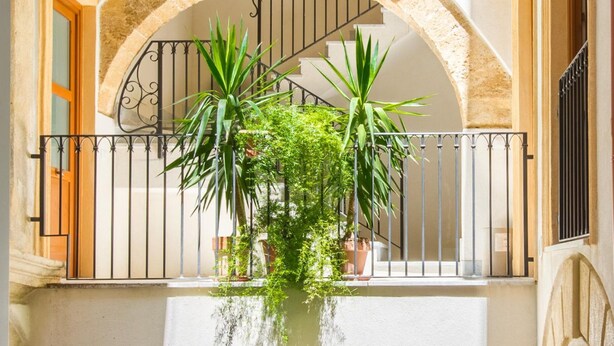 Escadaria de pedra que dá para uma varanda com plantas em vasos.