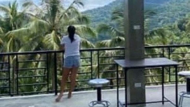Uma pessoa está em uma varanda com vista para uma paisagem montanhosa com palmeiras.
