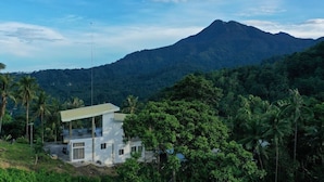 Um edifício branco com telhado plano, rodeado por vegetação exuberante e palmeiras, com uma montanha ao fundo.