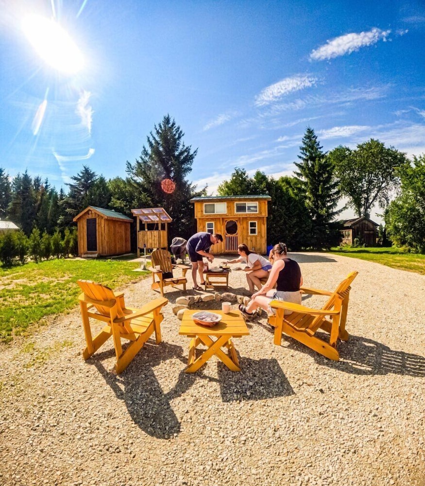 Boho Beaver - Meaford