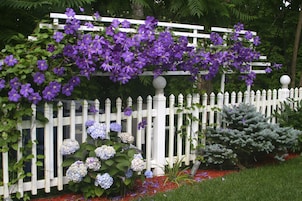 Jardim