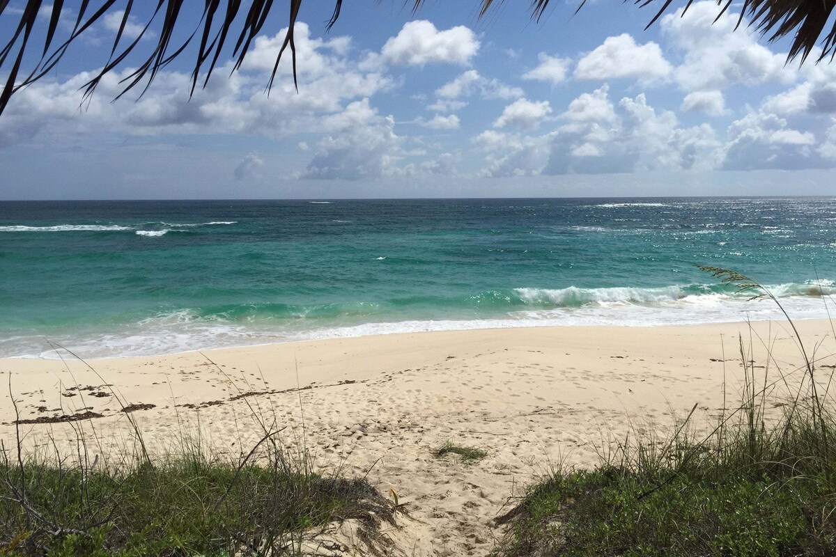 Uma praia com águas turquesa cristalinas, areal dourado e coqueiros emoldurando a paisagem.