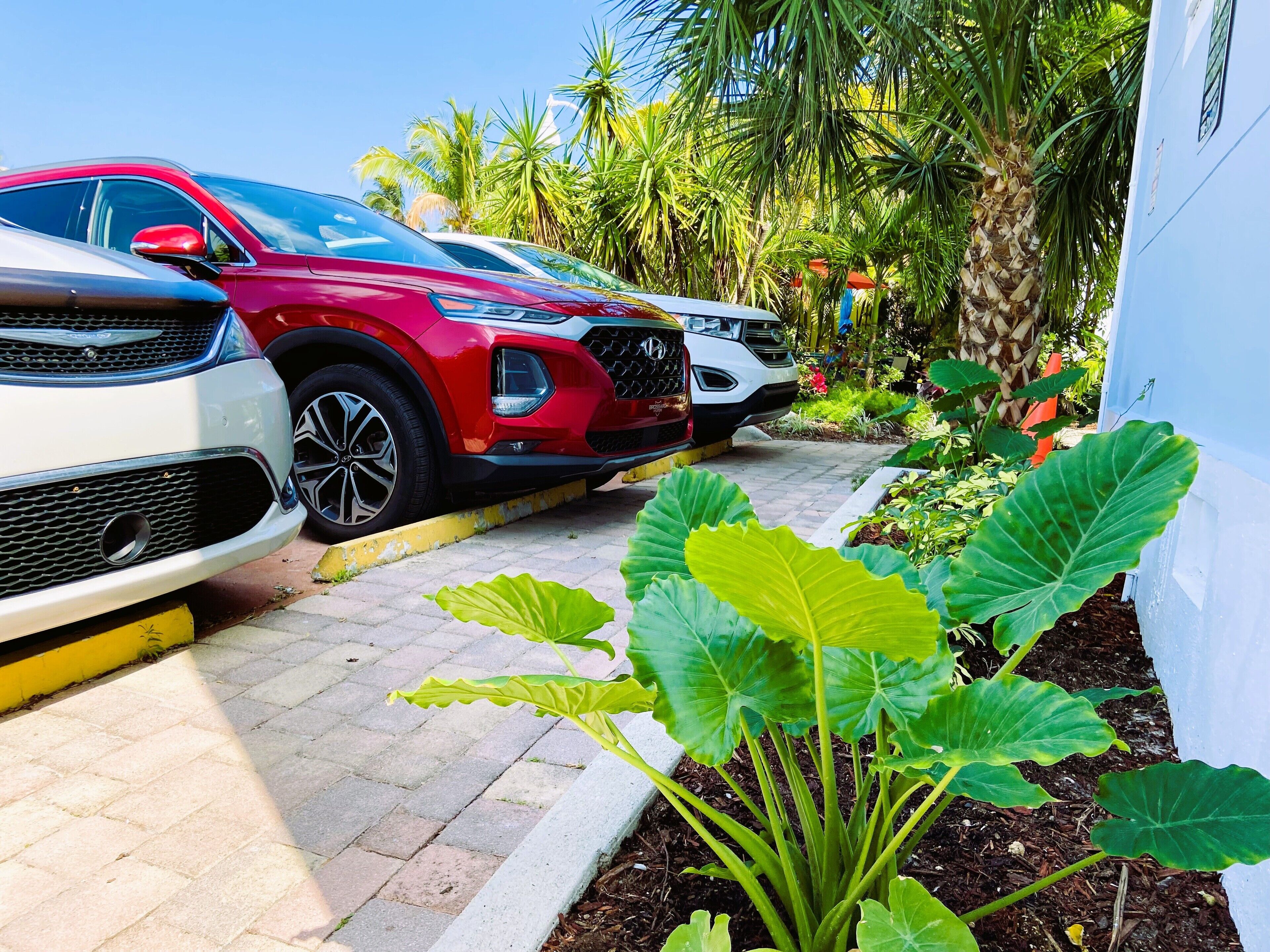 Estacionamento grátis 