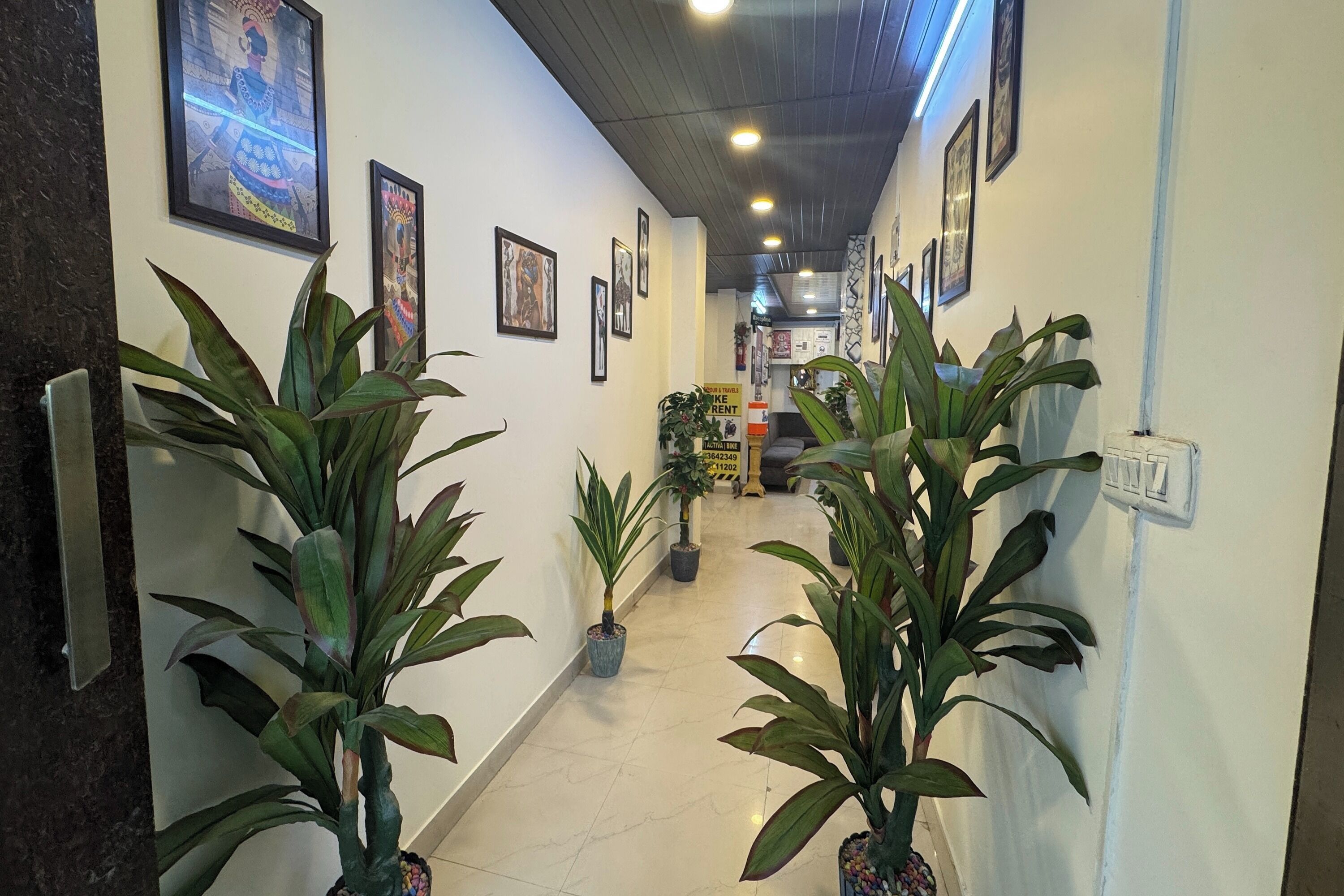 Um corredor com plantas em vasos, obras de arte nas paredes e uma receção ao fundo.