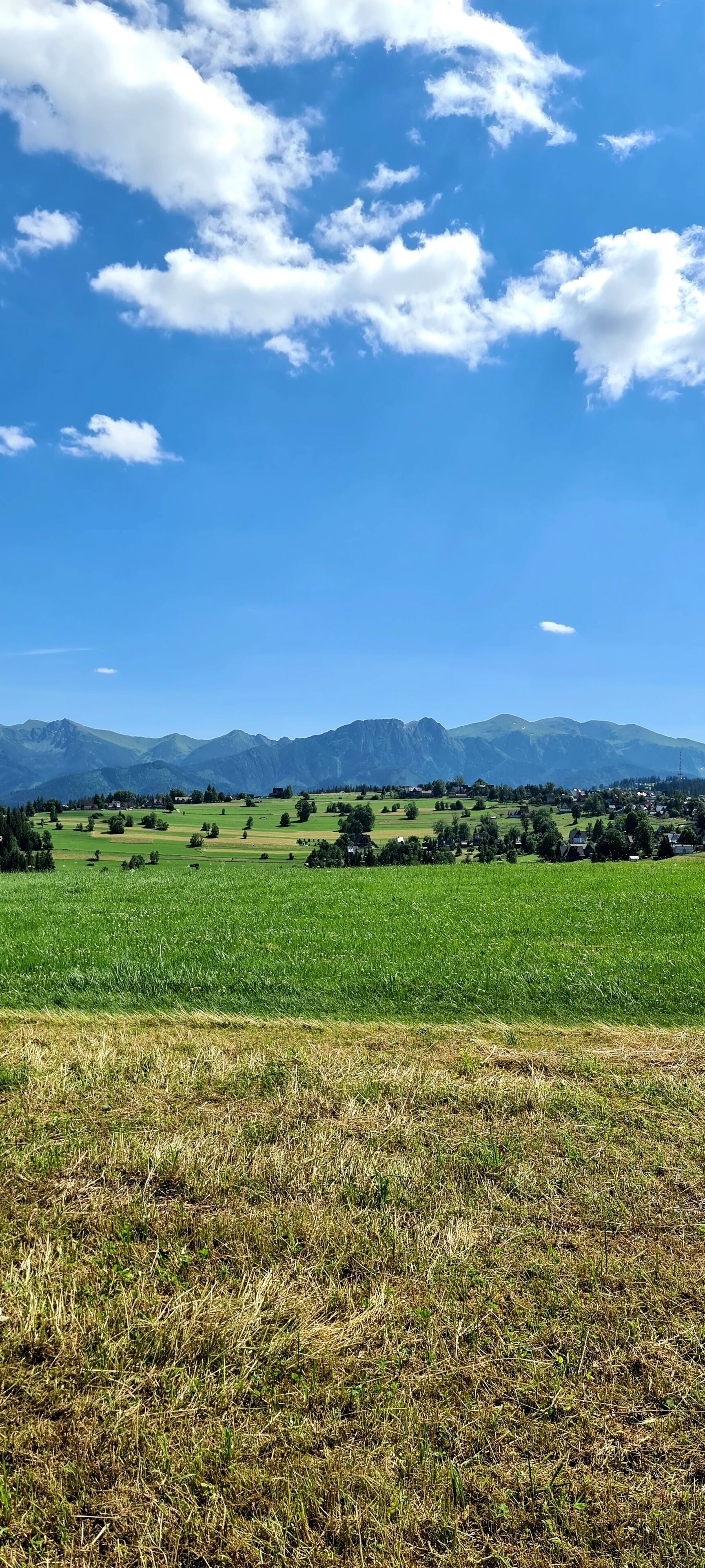 Vista panorâmica de um campo verde com uma cordilheira ao fundo.