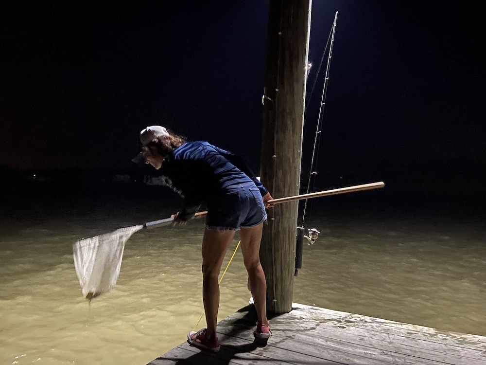 Private Home, Charter Fishing And Ecotourism. Only 25 Miles To French Quarter. - Lake Salvador, LA