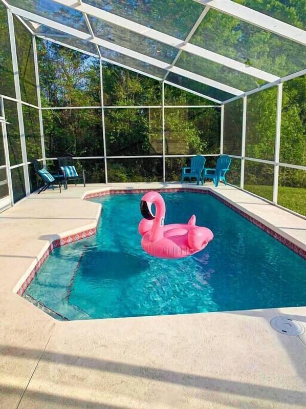 Kitty's is Open - 3/2, Pet's Welcome - Latest Reviews, Deals & Photos ...