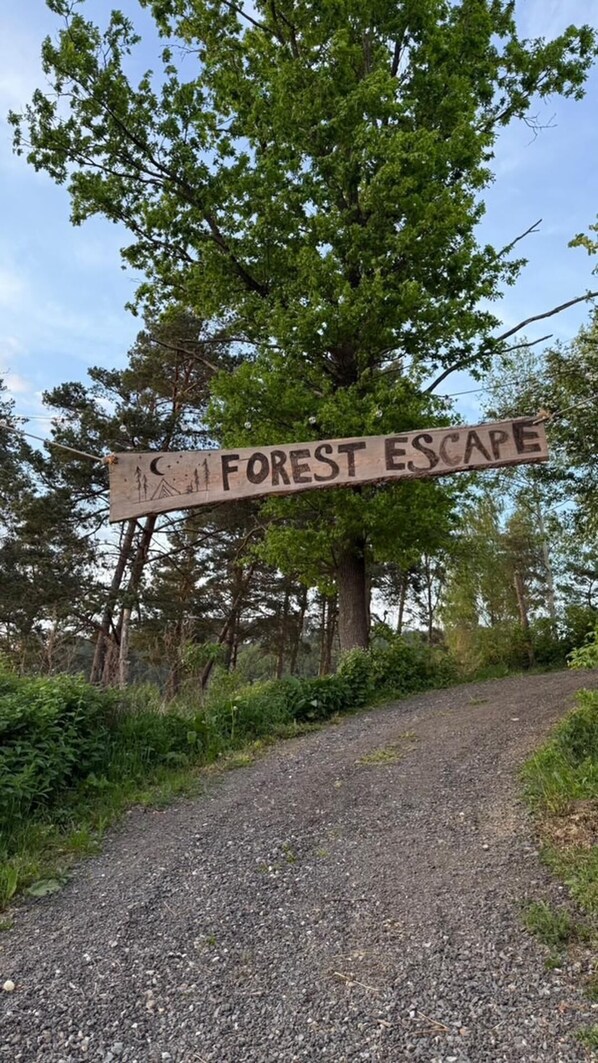 Um sinal com a inscrição 'FOREST ESCAPE' e uma ilustração de camping, com árvores e um caminho de cascalho ao fundo.
