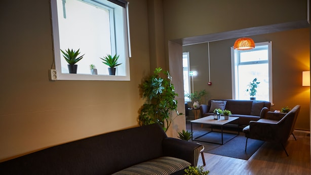 Uma sala de estar moderna com um sofá escuro, uma mesa de centro redonda e várias plantas em vasos.