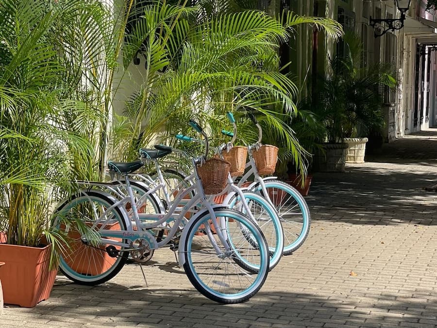 Terraço/pátio interior