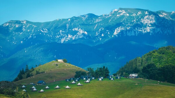 Ursa Mica Glamping Resort - Moieciu
