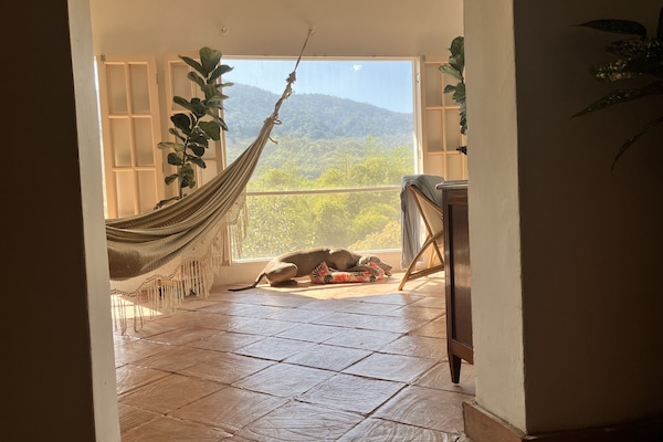 Animais permitidos