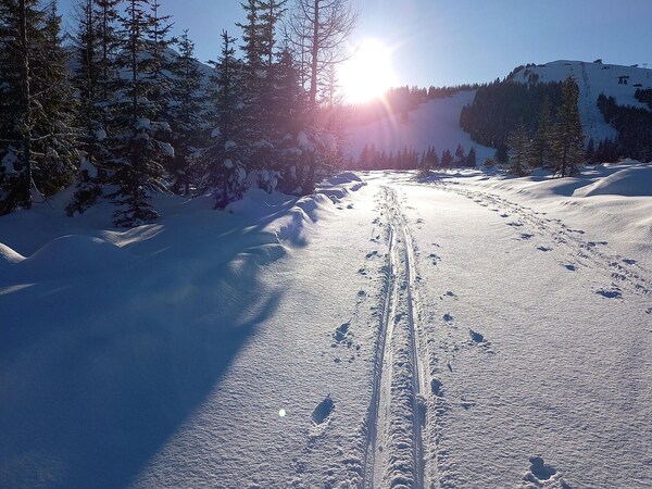 Alpine Escape Krimml - Krimml