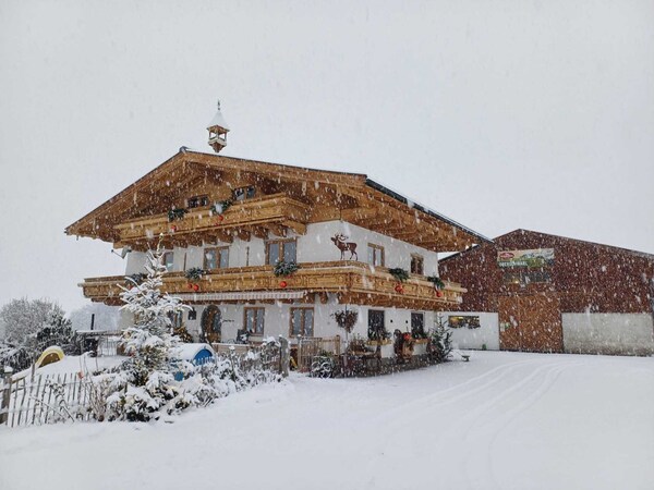 Holiday On An Organic Farm Near Ski Slopes - Saalfelden am Steinernen Meer